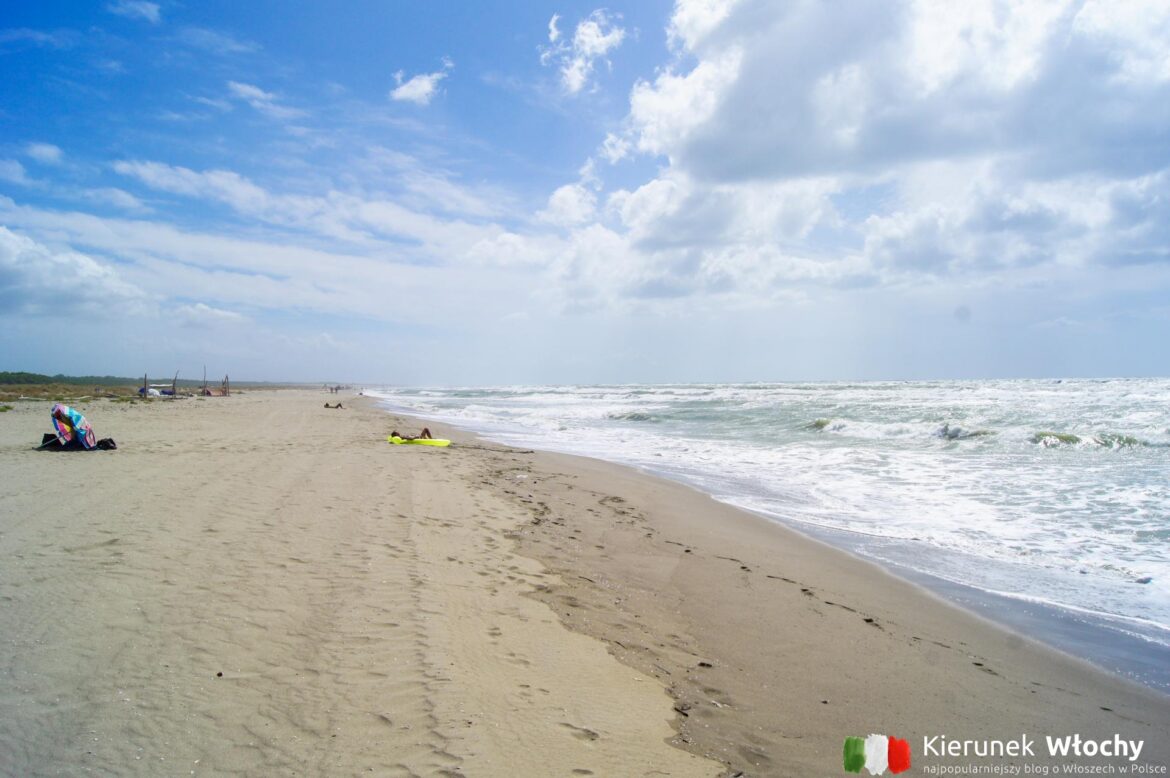Marina di Torre del Lago Puccini - dzika, darmowa plaża w Toskanii