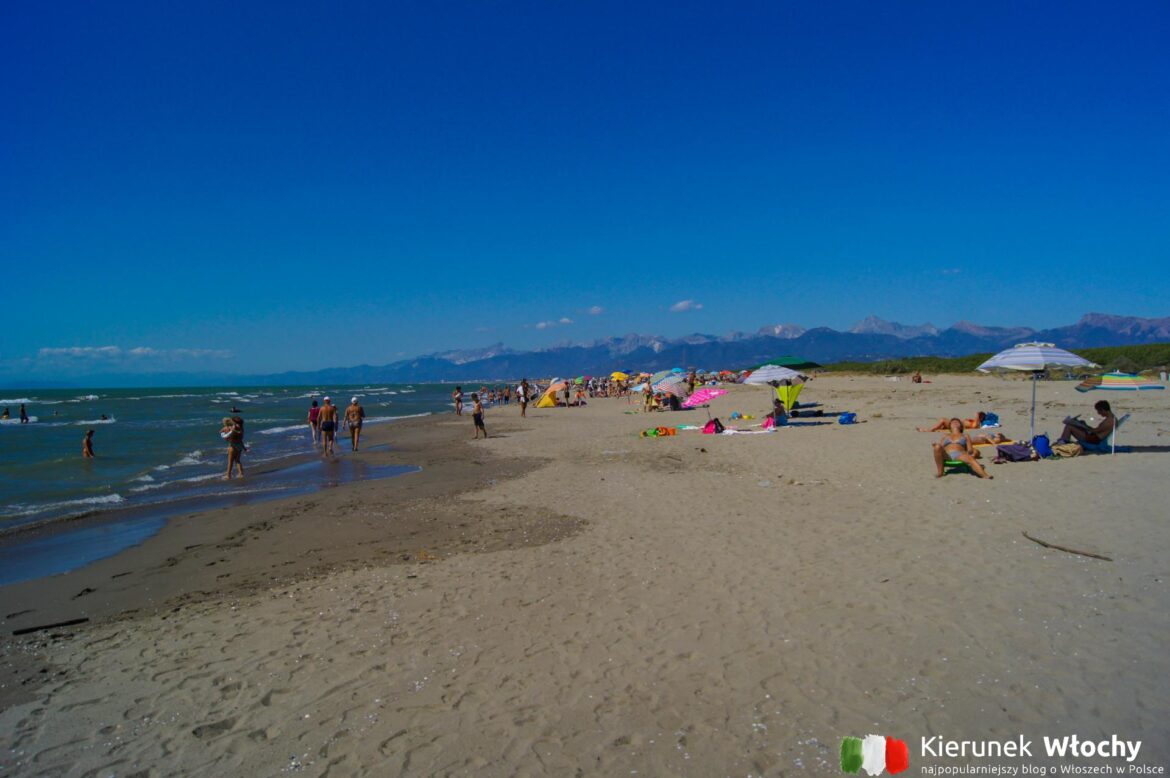 Marina di Torre del Lago Puccini - dzika, darmowa plaża w Toskanii